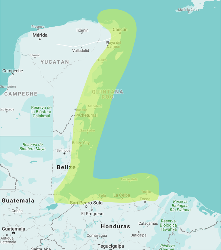 NEMO Citizen - science movement Mesoamerican Reef | Echoes of the Journey